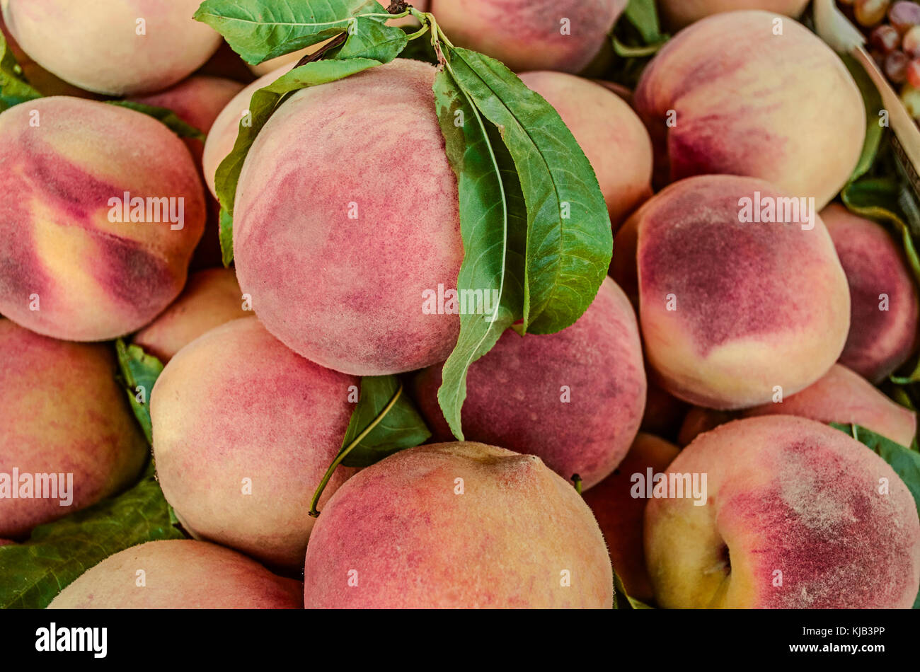 Armenian fruits hi-res stock photography and images - Alamy