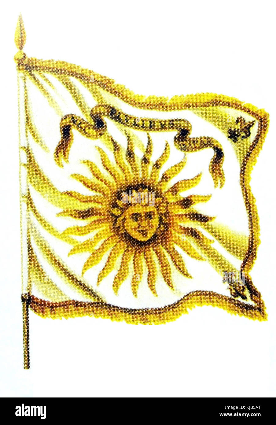 The Royal Standard of France, associated with the French monarchy ...