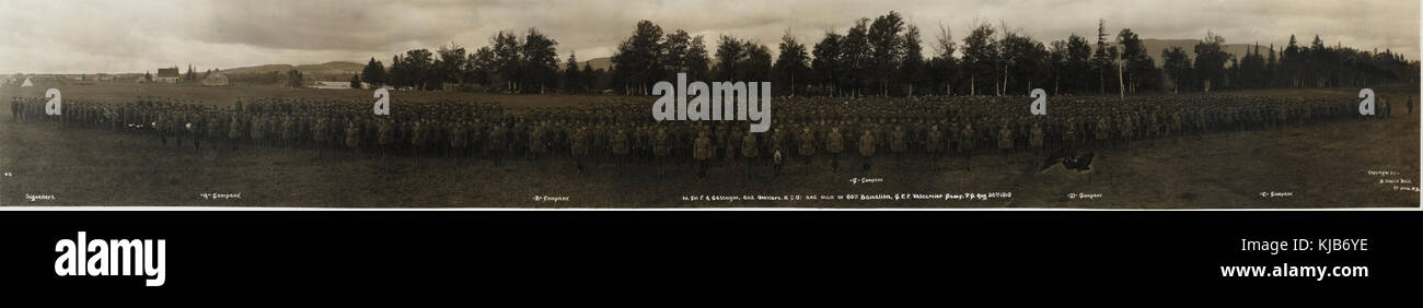 Lt. Col. F.A. Gascoigne and officers, NCO's and men of 60th Battalion ...