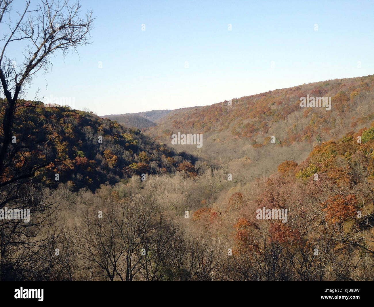 Gfp minnesota beaver creek valley clear view of the forest Stock Photo ...