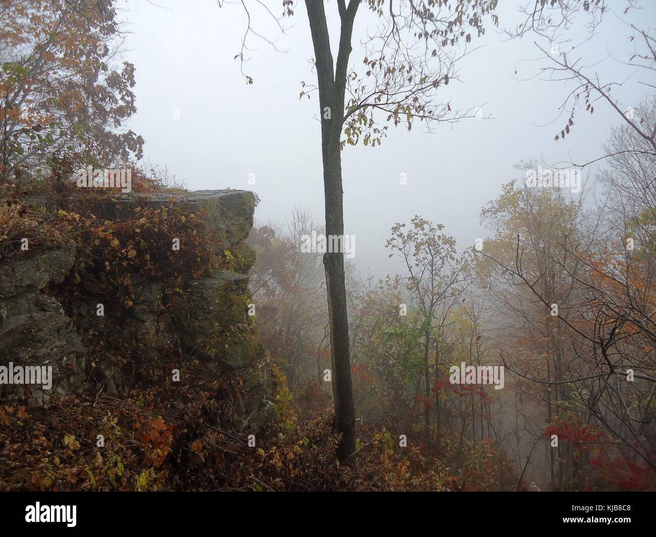 Gfp minnesota great river bluffs state park bluff view Stock Photo - Alamy