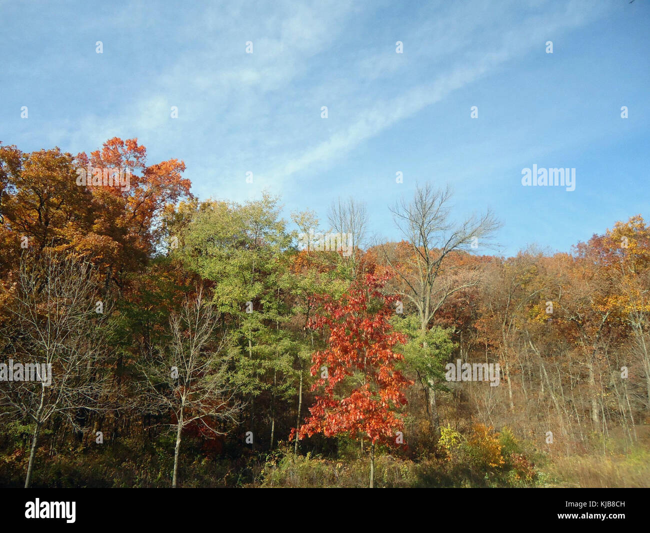 Gfp wisconsin governor dodge state park sky over some trees Stock Photo ...
