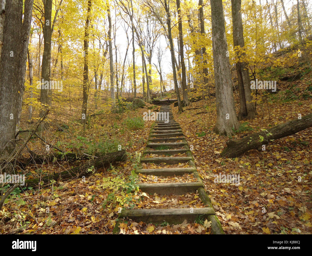 Gfp wisconsin governor dodge state park steps on the hiking trail Stock ...