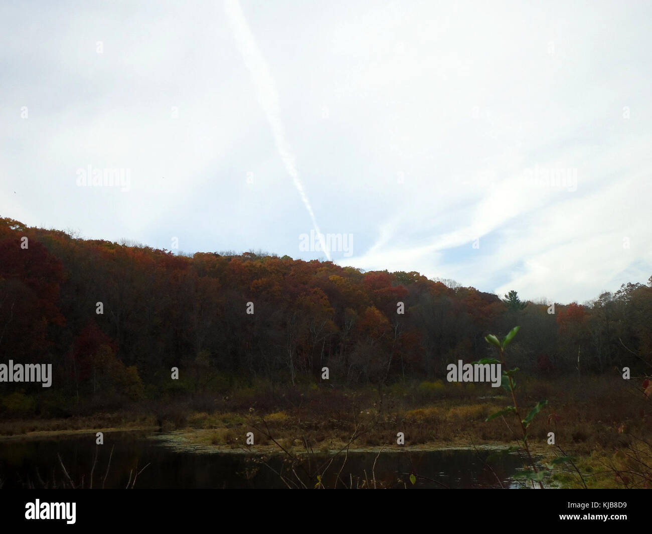 Gfp wisconsin governor dodge state park the sky over forest Stock Photo ...