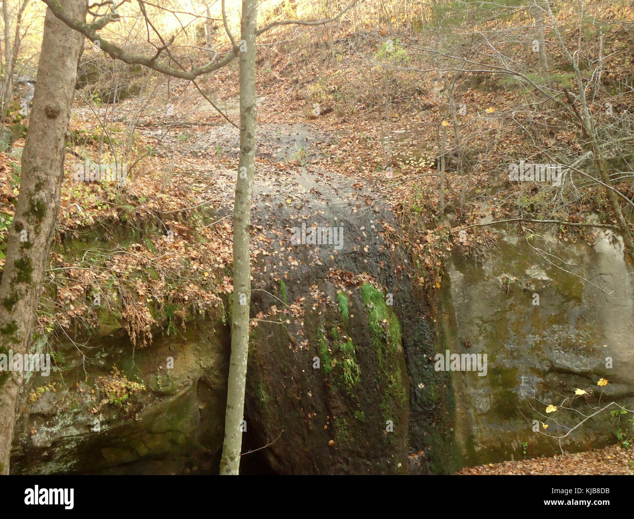 Gfp wisconsin governor dodge state park stephens falls Stock Photo - Alamy