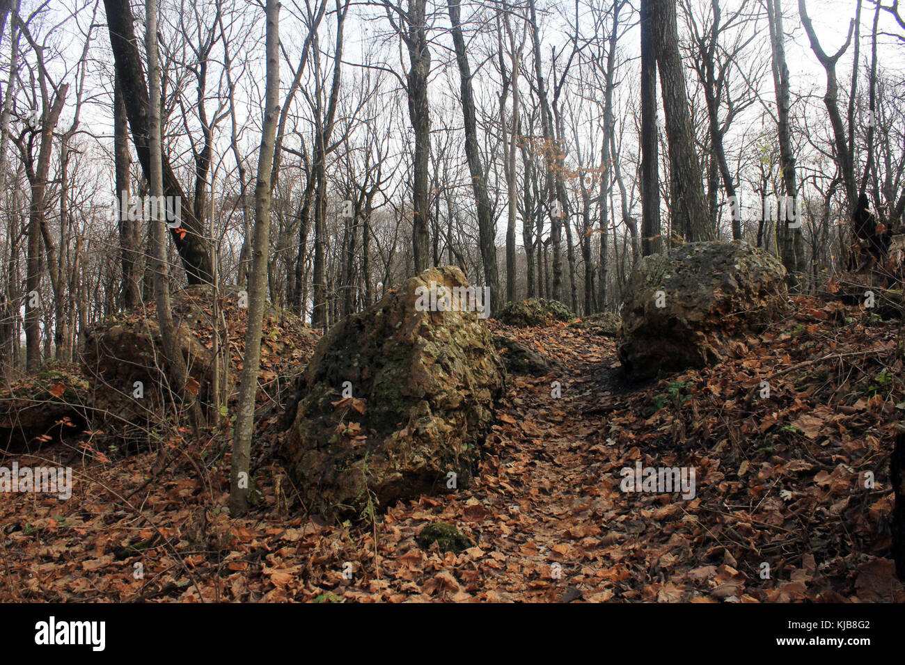 Gfp wisconsin blue mound state park going up on the hiking path Stock ...