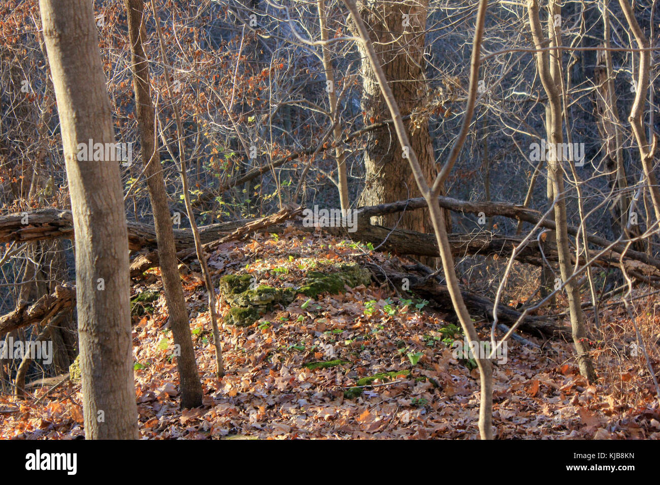 Bellevue state park iowa hi-res stock photography and images - Alamy