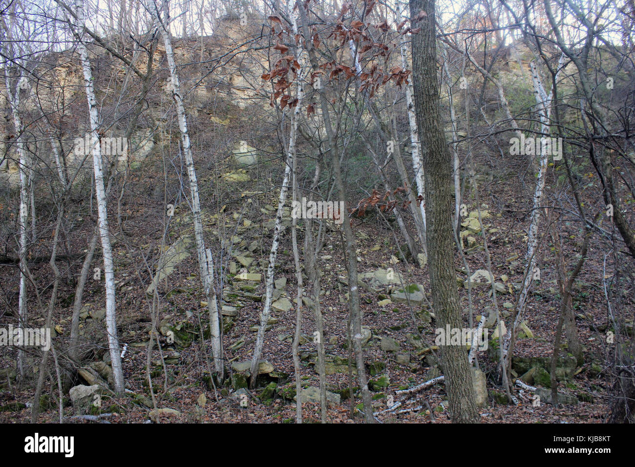 Gfp iowa bellevue state park limestone quarry Stock Photo - Alamy