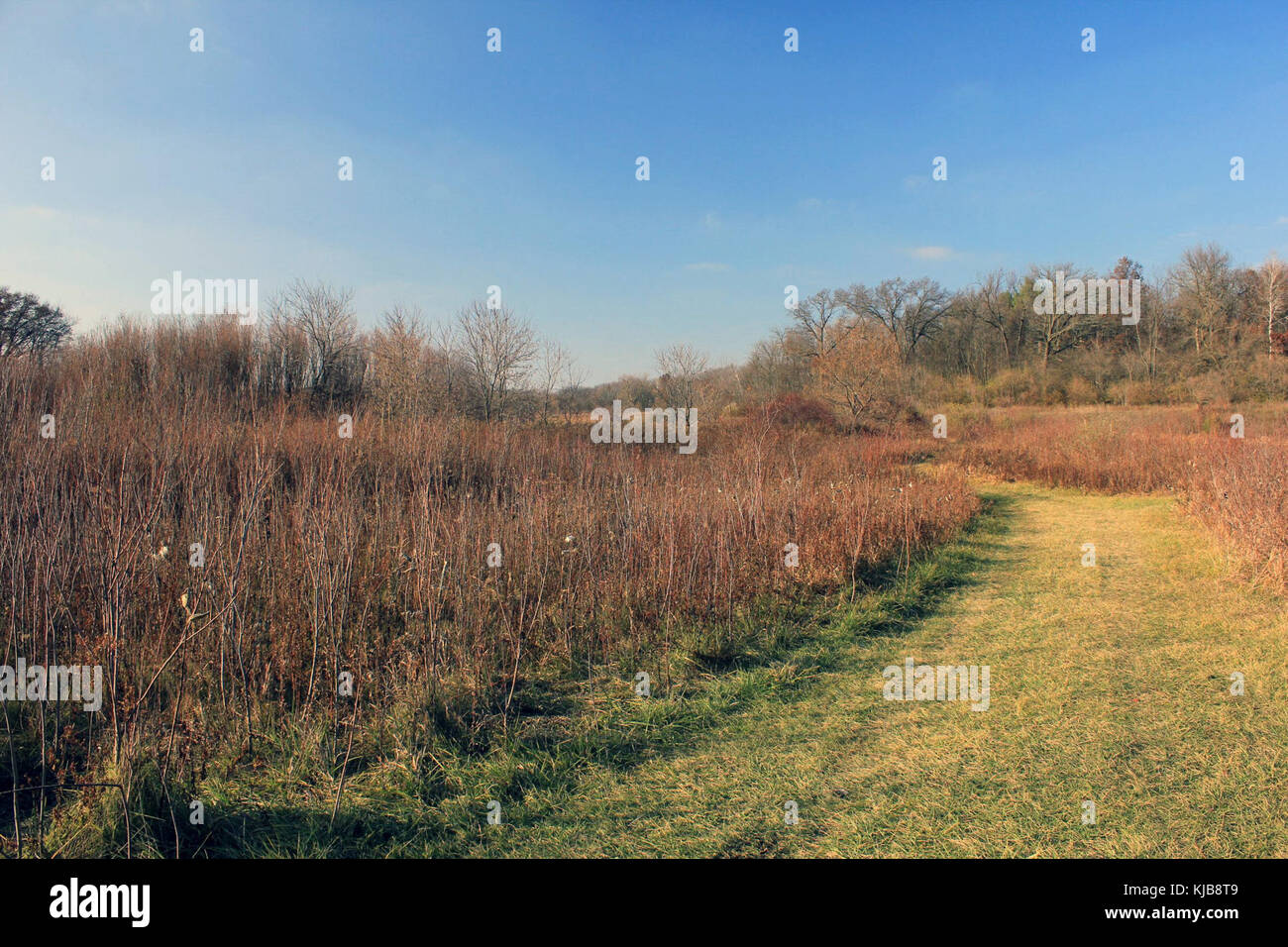 Gfp illinois rock cut state park curving trail Stock Photo - Alamy