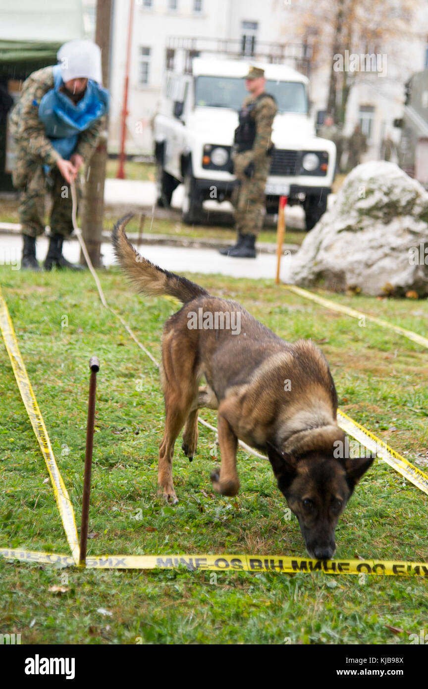 The Armed Forces of Bosnia and Herzegovina demining battalion ...