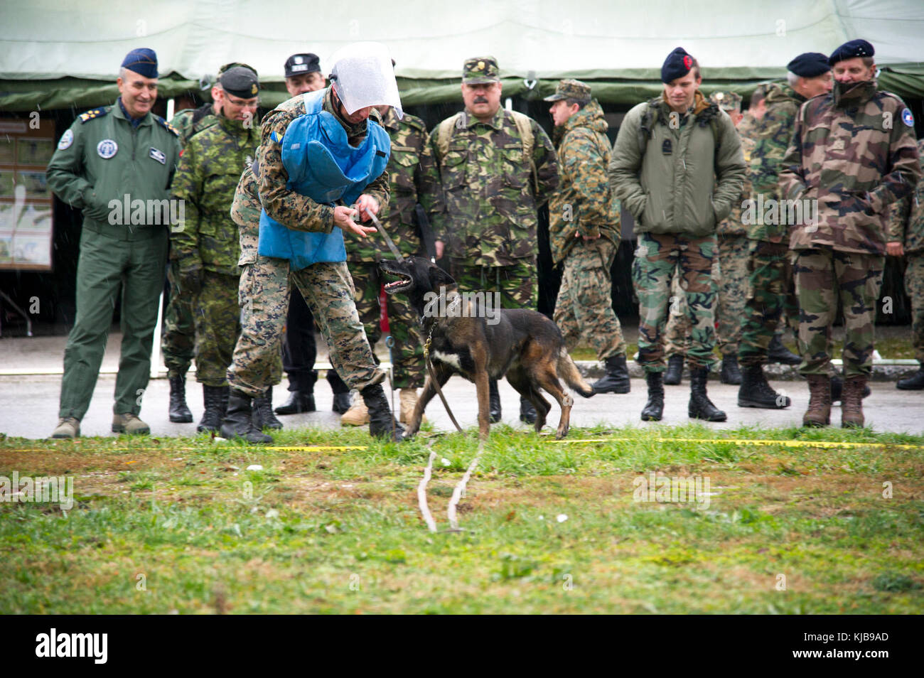 The Armed Forces of Bosnia and Herzegovina demining battalion ...