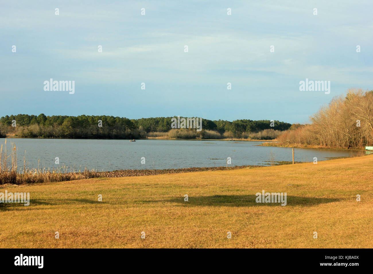Gfp georgia reed bingham state park lake Stock Photo - Alamy