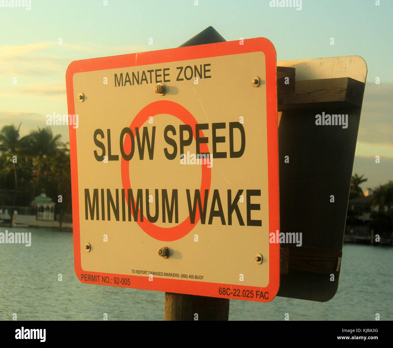 Miami wildlife hi-res stock photography and images - Alamy