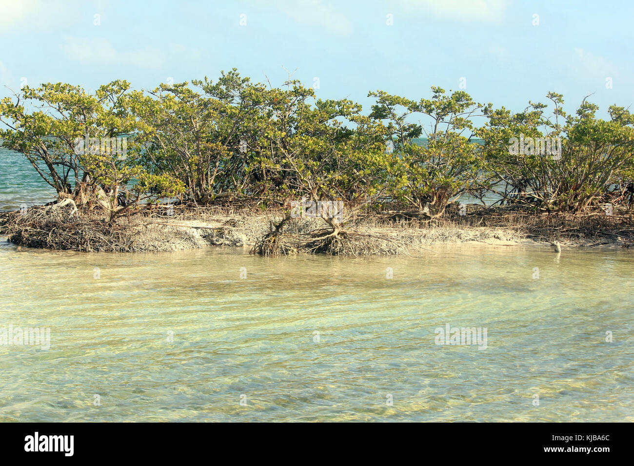 Gfp florida biscayne national park sandbar island Stock Photo - Alamy