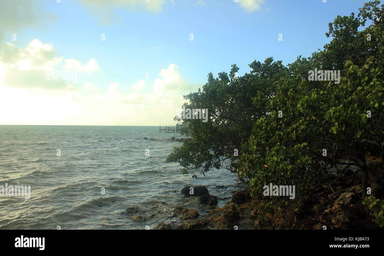 Tavernier florida hi-res stock photography and images - Alamy