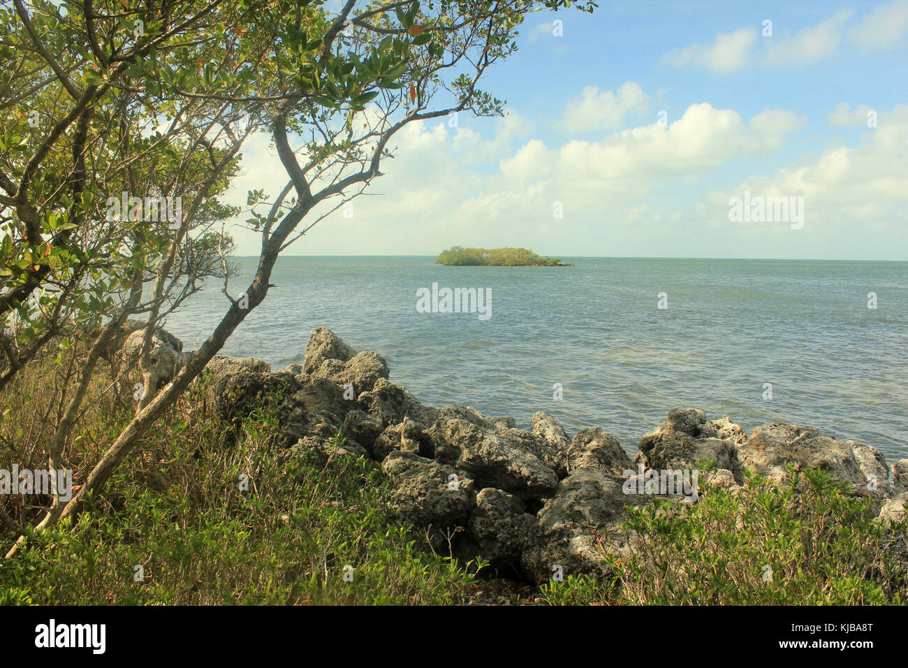 Gfp florida keys marathon key ocean landscape Stock Photo - Alamy