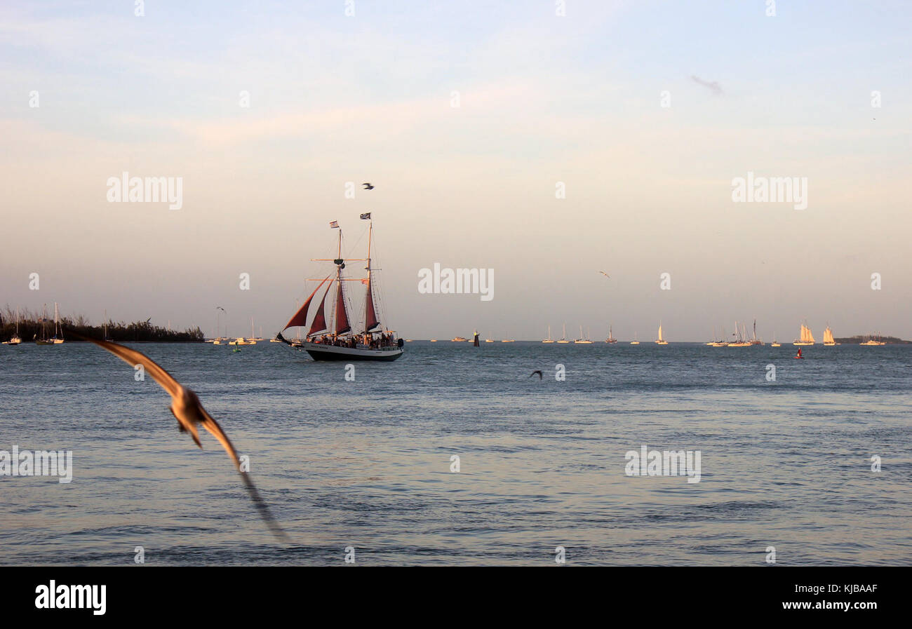 Gfp florida keys key west sailing ship Stock Photo - Alamy