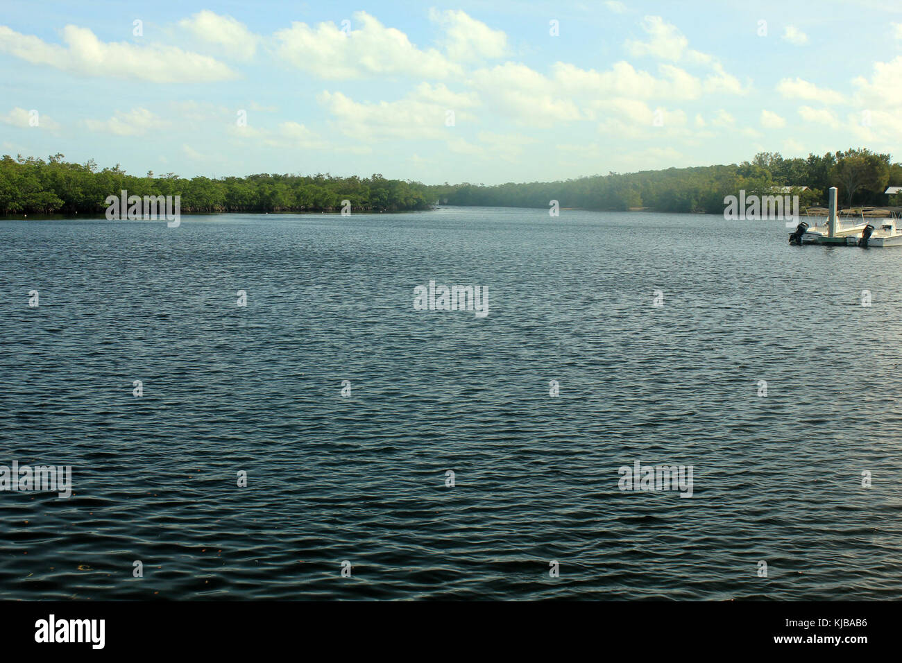 Gfp florida keys key largo water if the bay Stock Photo - Alamy
