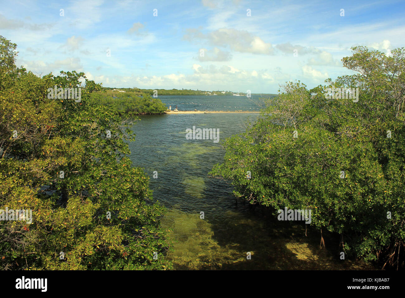 Gfp florida keys key largo stream and horizon Stock Photo - Alamy