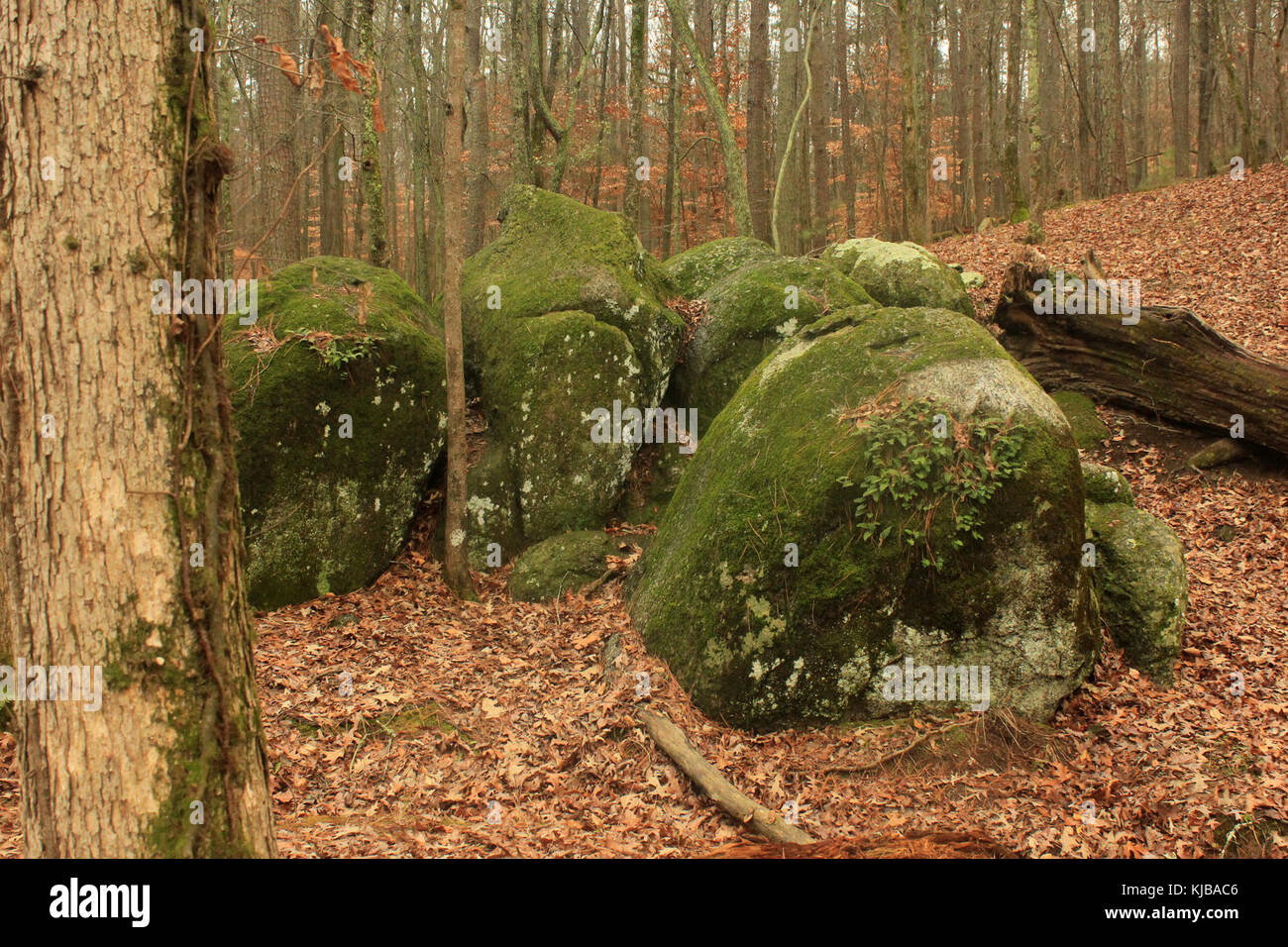 Gfp georgia redtop mountain state park rocks Stock Photo - Alamy