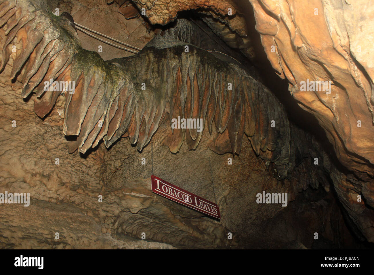 A geological formation in Tennessee known as the Cavern Tobacco Leaves ...
