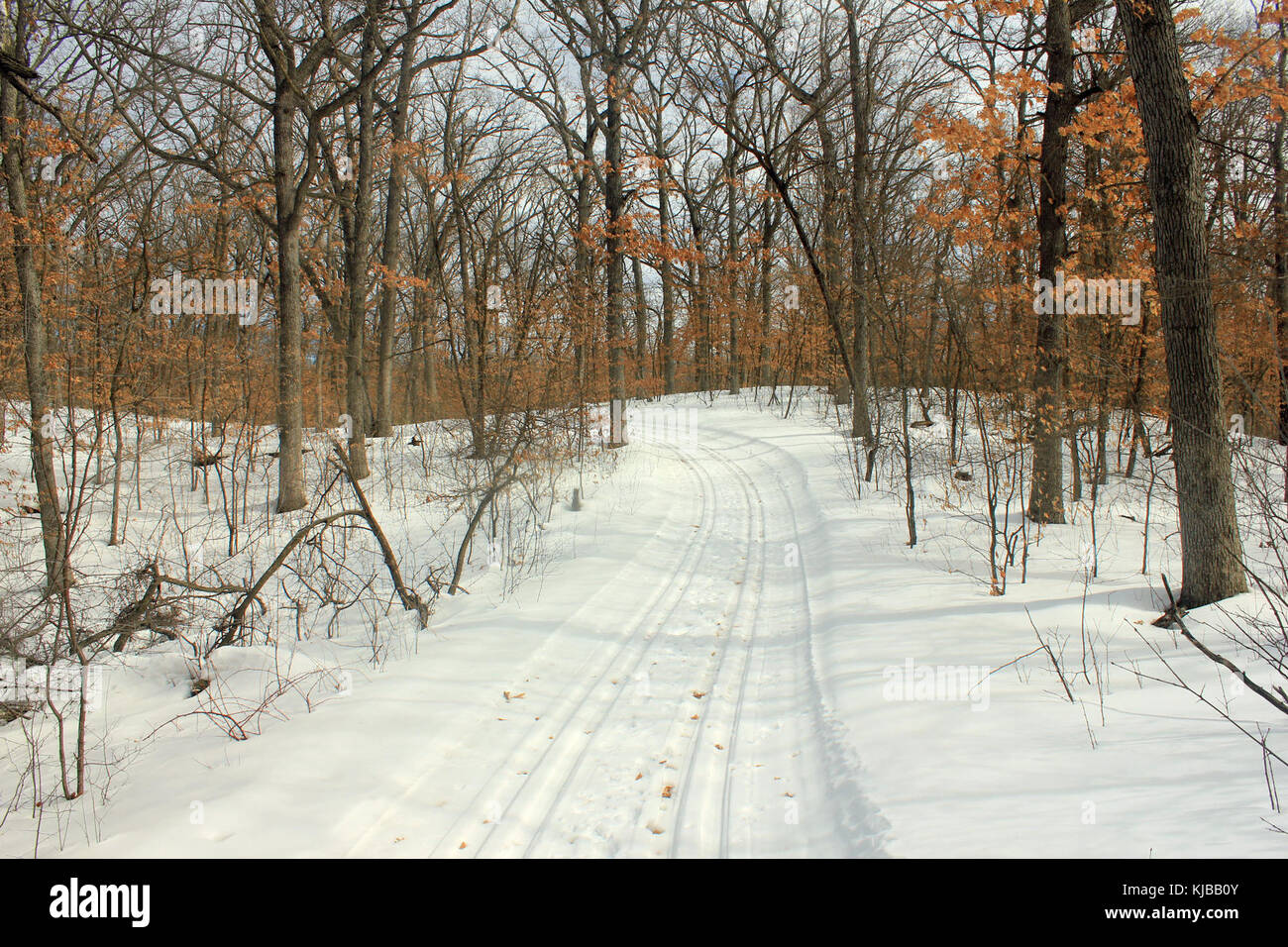 Gfp minnesota lake maria state park snowy hiking trail Stock Photo - Alamy