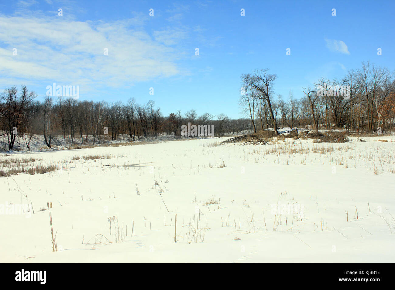 Gfp minnesota lake maria state park marsh and lake Stock Photo - Alamy