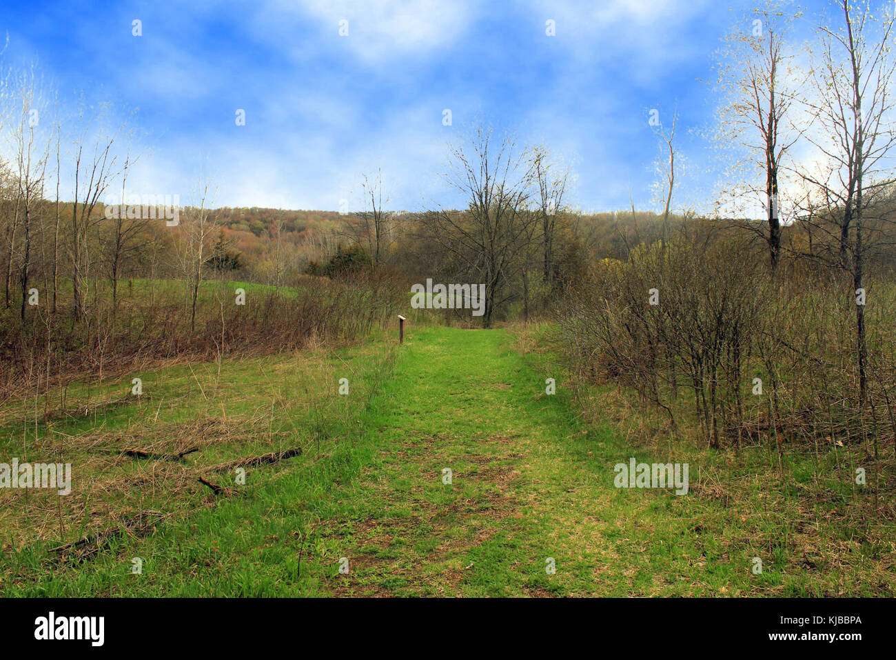 Gfp wisconsin natural bridge state park the hiking trail Stock Photo ...
