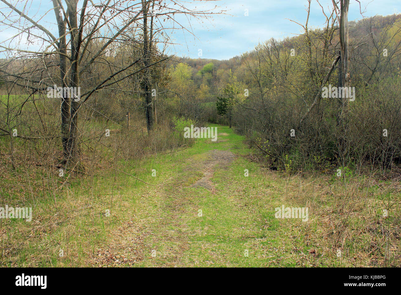 Gfp wisconsin natural bridge state park hiking trail Stock Photo - Alamy