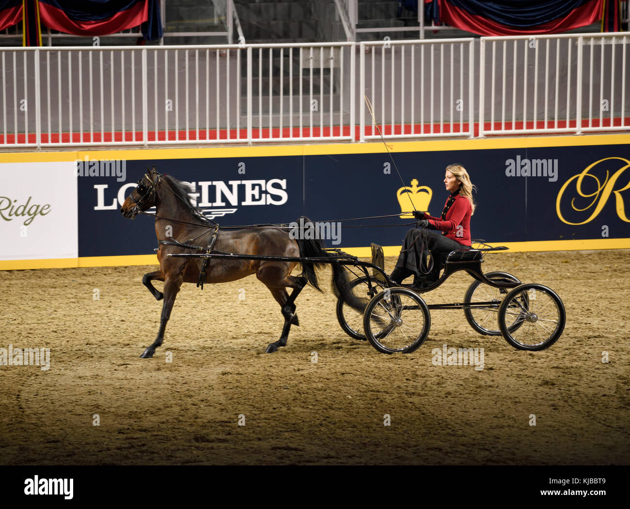 Harness driver hi-res stock photography and images - Alamy
