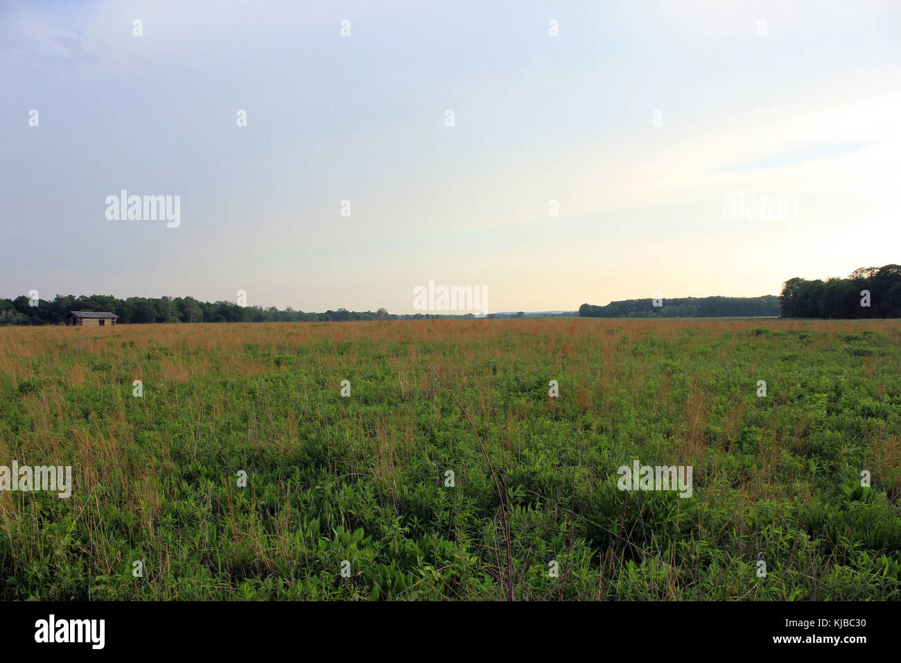 Gfp indiana prophetstown state park grassy prairie Stock Photo - Alamy