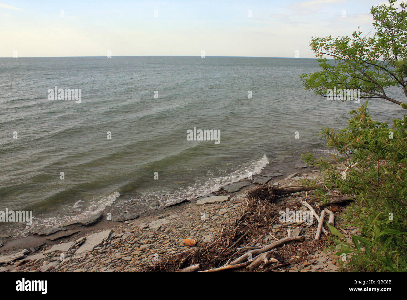 Gfp pennsylvania eerie bluffs state park lake erie shore Stock Photo ...