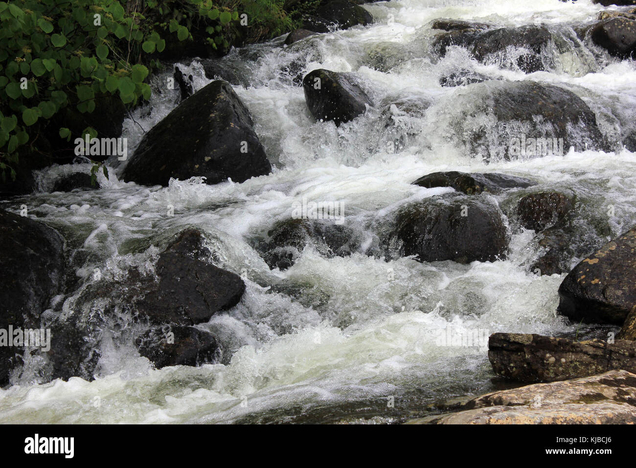 A close-up view of a cascading brook in the Adirondack Mountains of New ...
