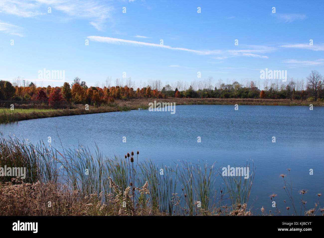 Picnic month hi-res stock photography and images - Alamy