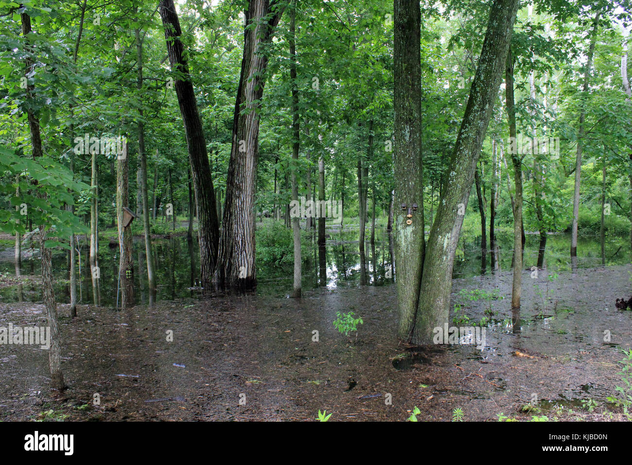 Madison marsh hi-res stock photography and images - Alamy