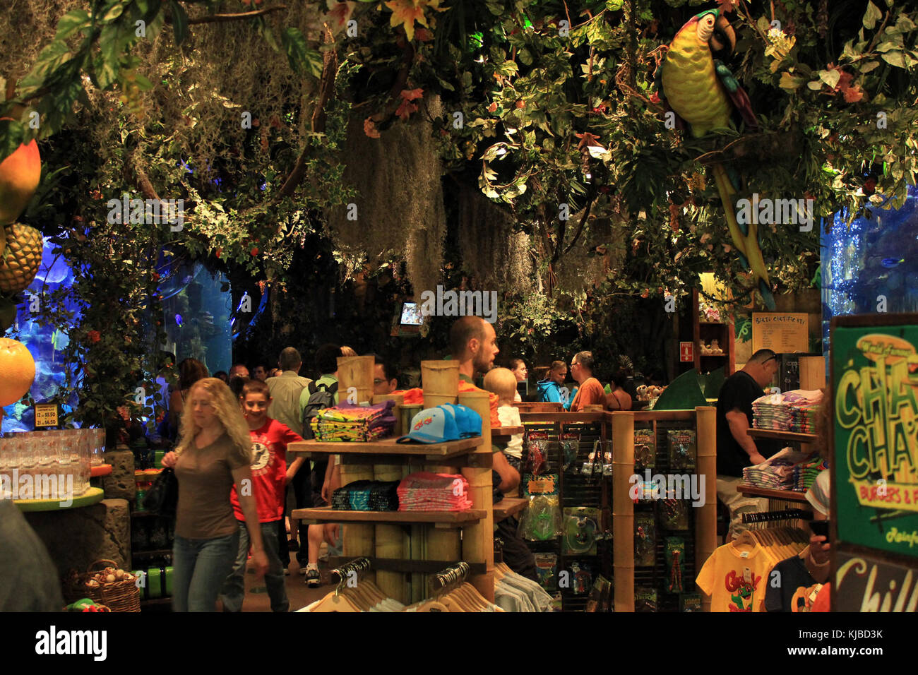 This image shows a jungle-themed shop located in a mall in Minneapolis ...