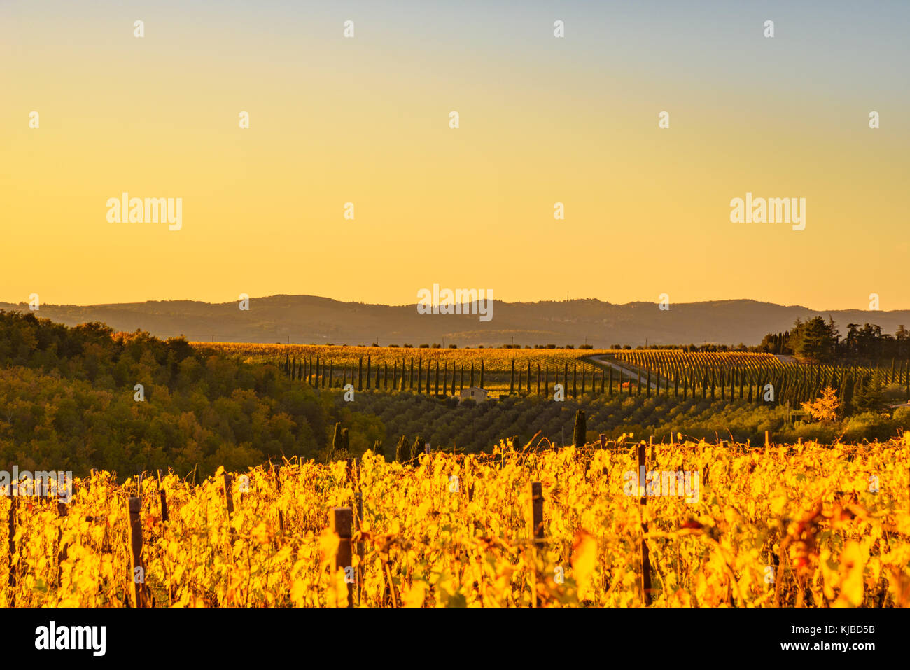 View over the hills of chianti, Italy at sunset. Autumn season Stock ...