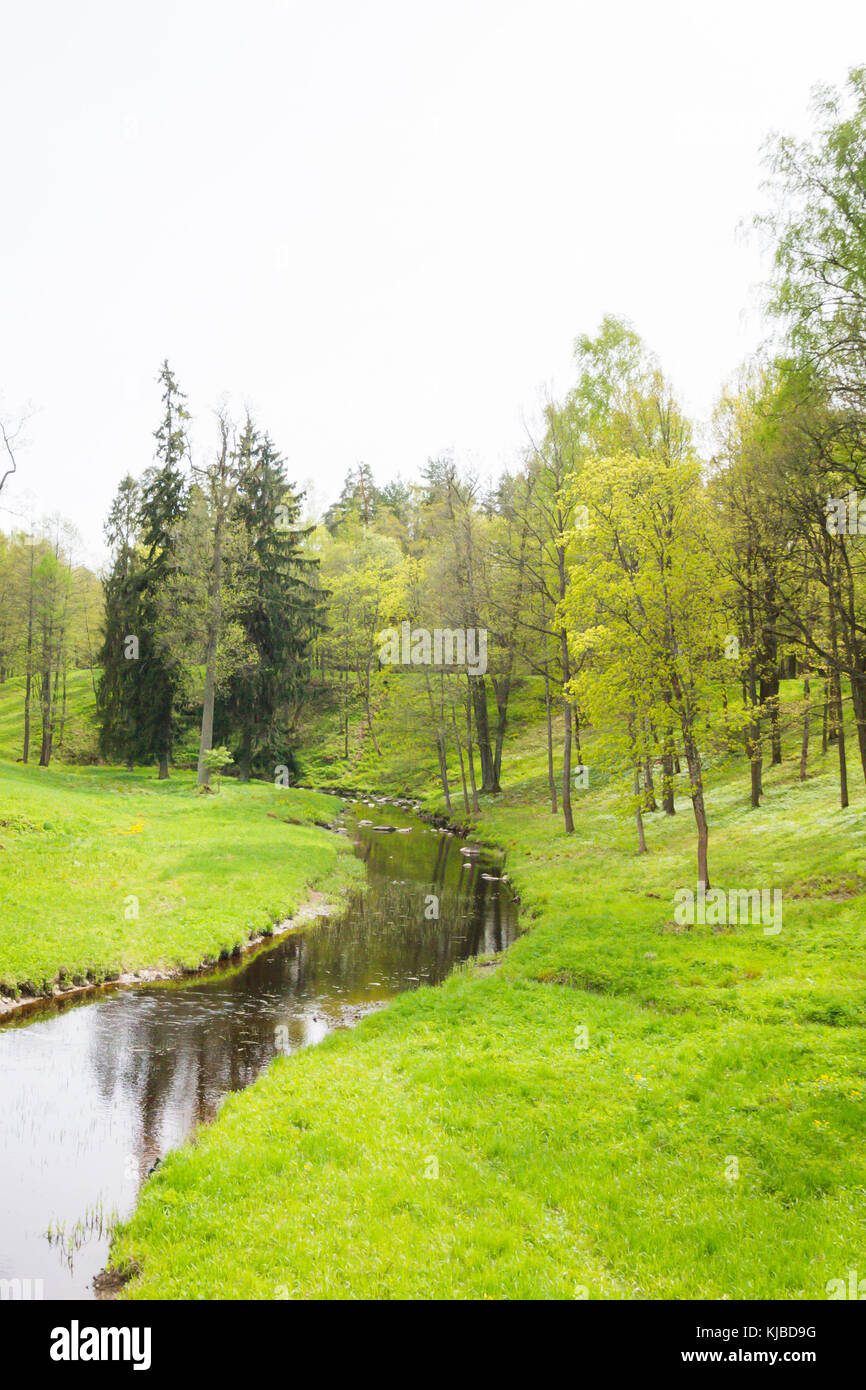 Life in the brook and pond hi-res stock photography and images - Alamy