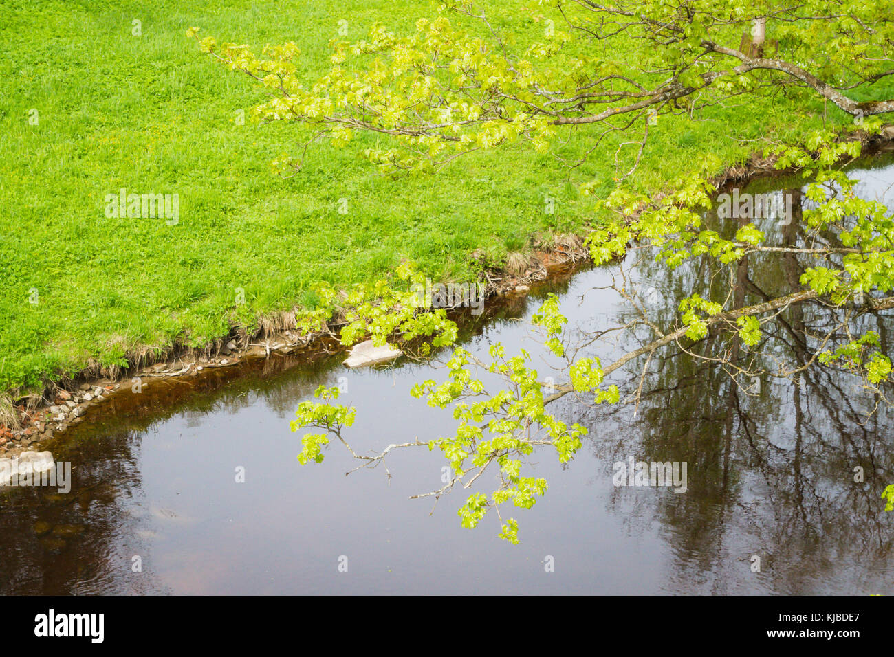 Spring nature in the Park with brook Stock Photo - Alamy