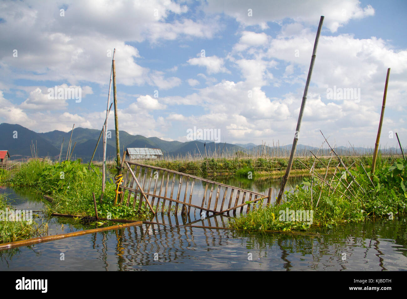 Floating gardens on Inle Lake in Myanmar. Inle lake is a major tourist ...