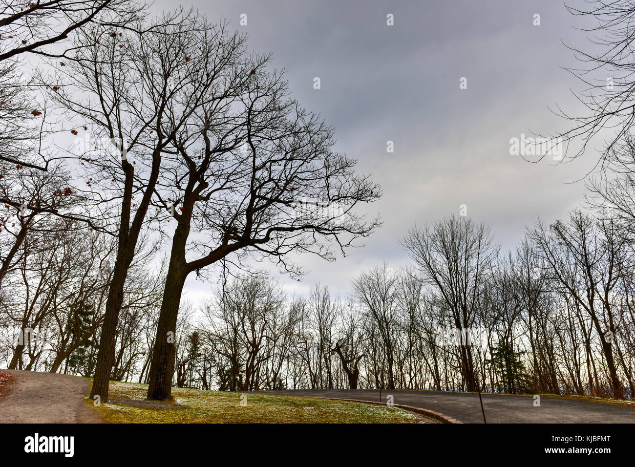 Winter forest landscape in Mount Royal, Montreal, Quebec, Canada Stock ...