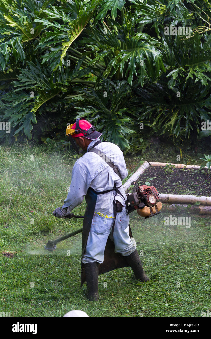 man with a weed whacker mowing the lawn in a large yard in Costa Rica ...