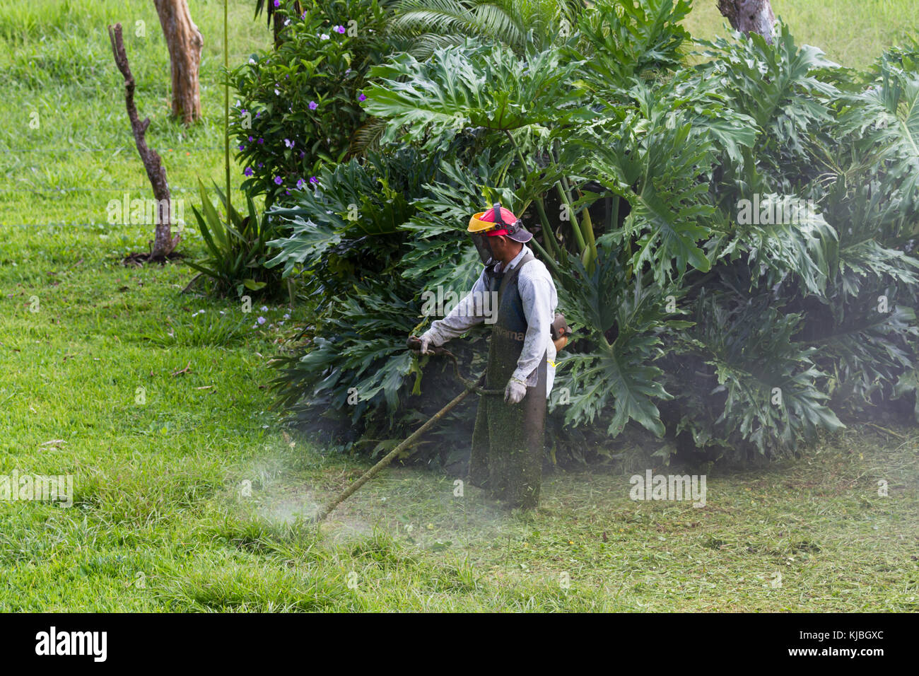 Mowing expense hi-res stock photography and images - Alamy