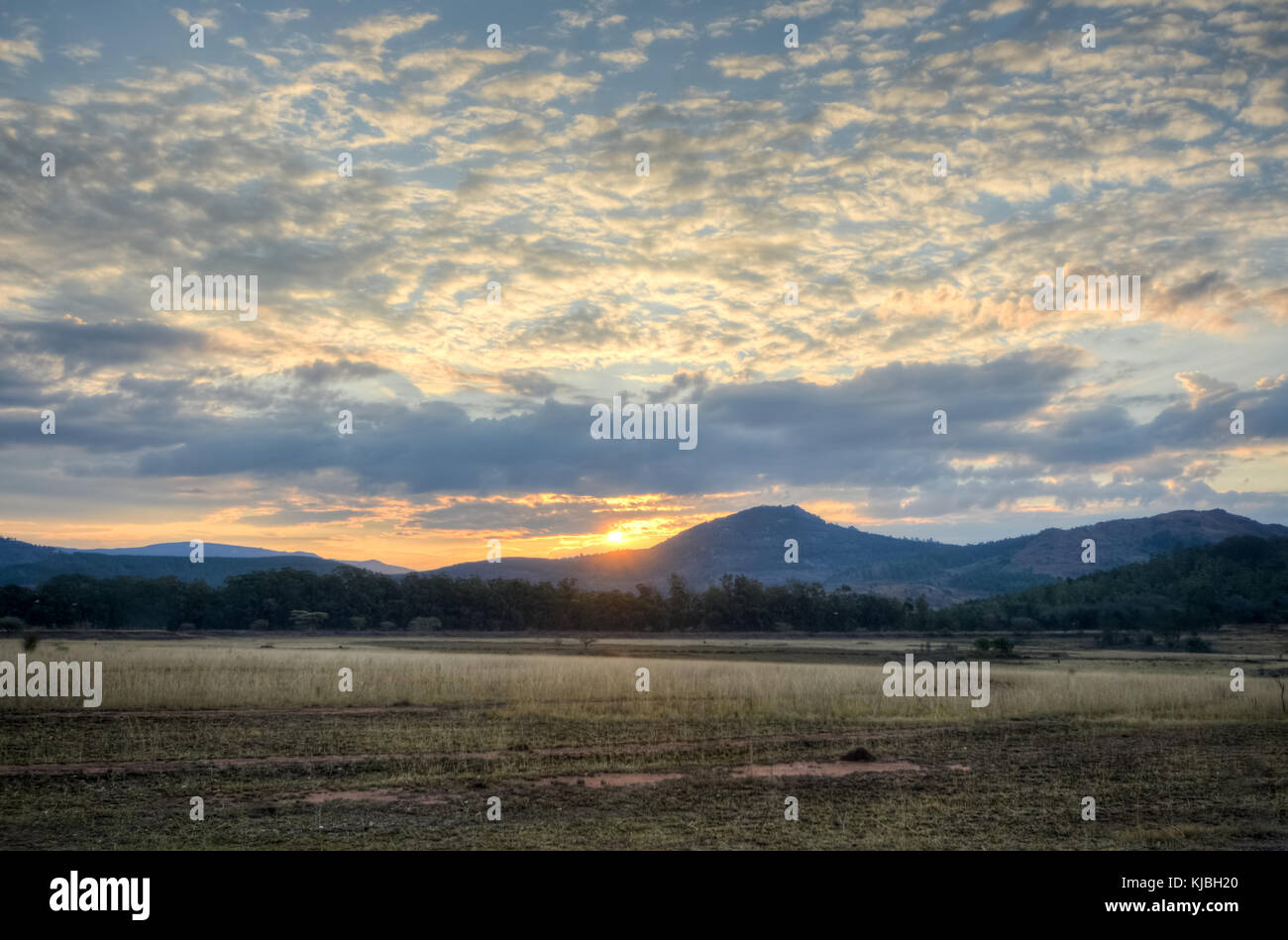 Swazi hi-res stock photography and images - Alamy