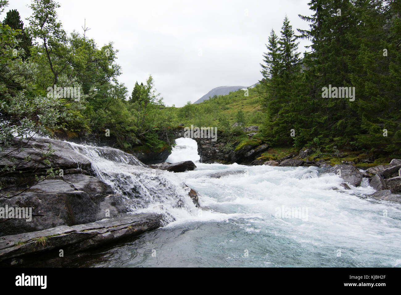 River near Ovtestolen in the valley Valldalen in Norway Stock Photo - Alamy