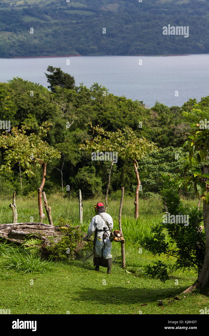 man with a weed whacker mowing the lawn in a large yard in Costa Rica ...