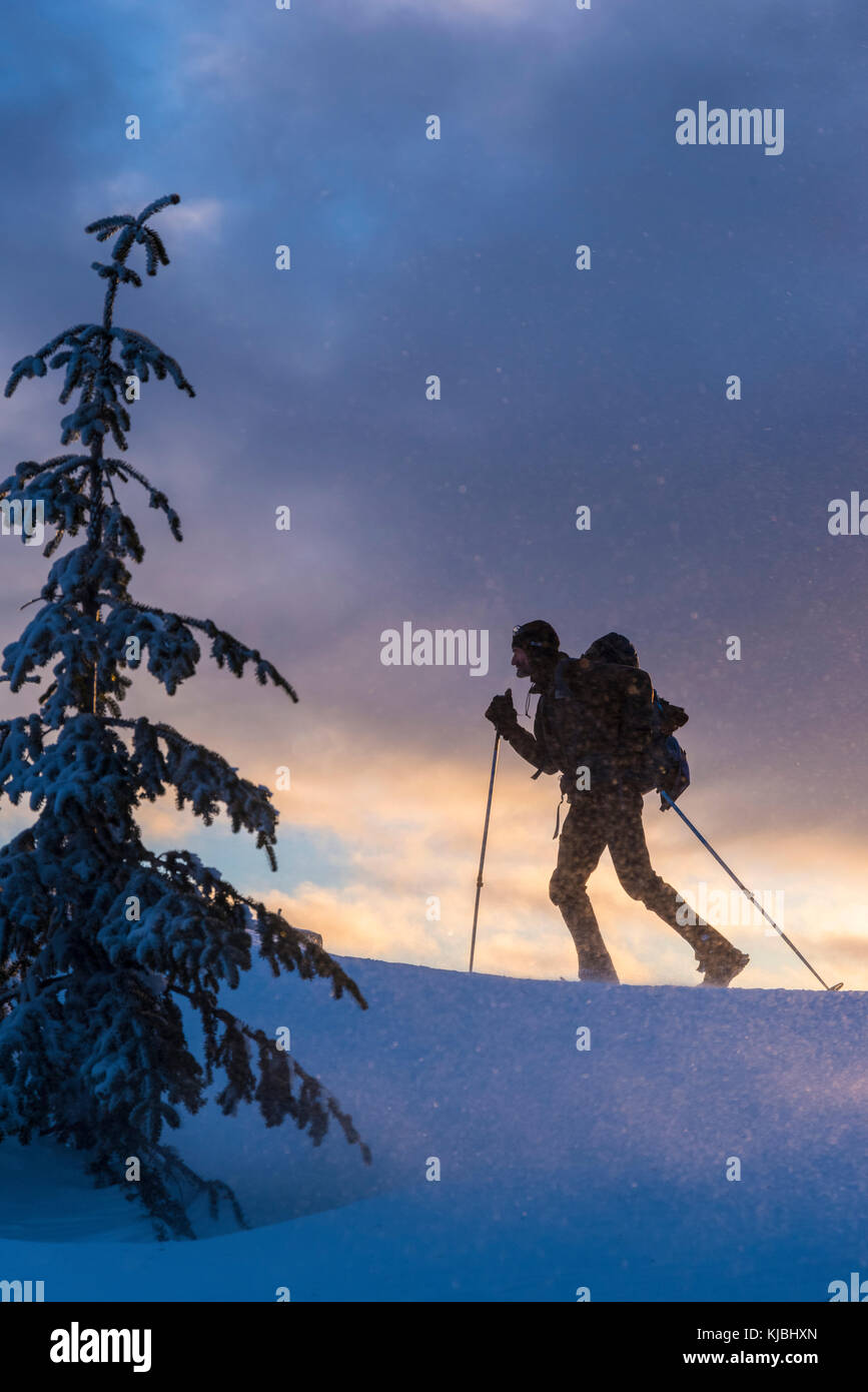 Nature guide Robert Fluet skis to a summit for sunset in Monts Valin NP ...