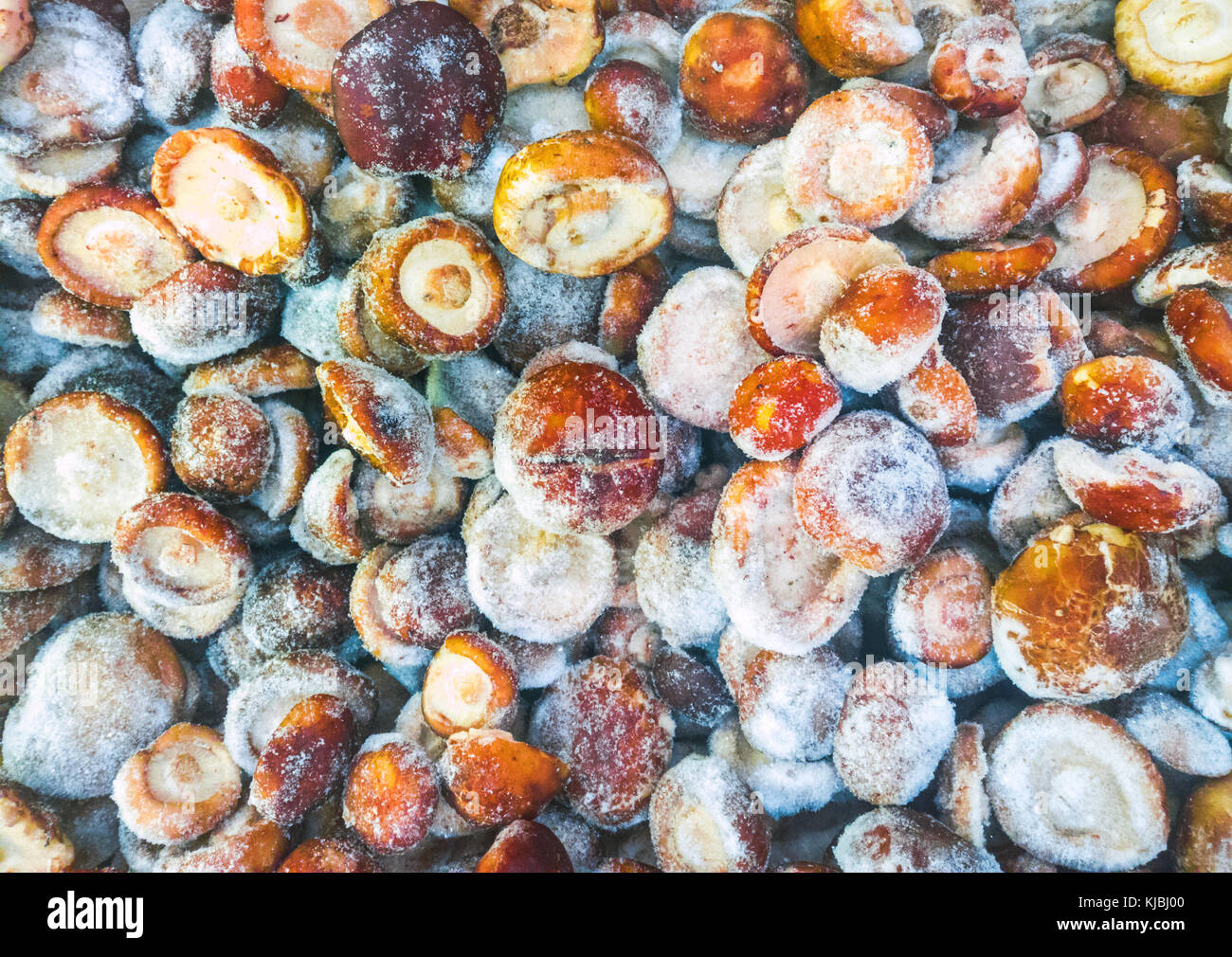 frozen mushrooms Boletus luteus Stock Photo - Alamy