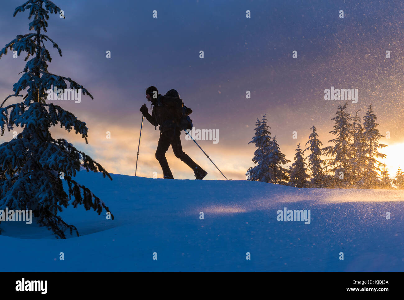 Nature guide Robert Fluet skis to a summit for sunset in Monts Valin NP ...