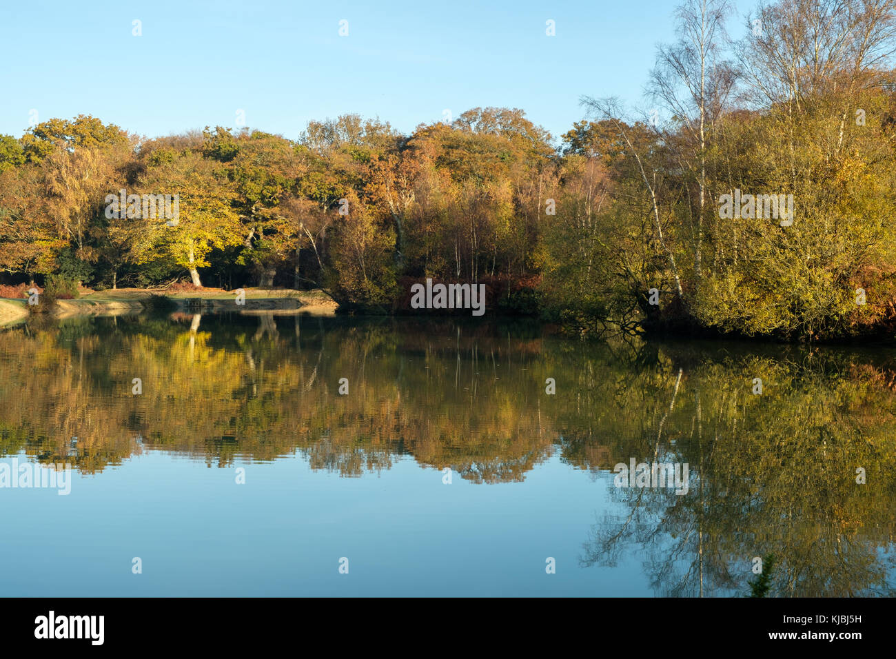 Reflections in Cadman's Pool Stock Photo - Alamy